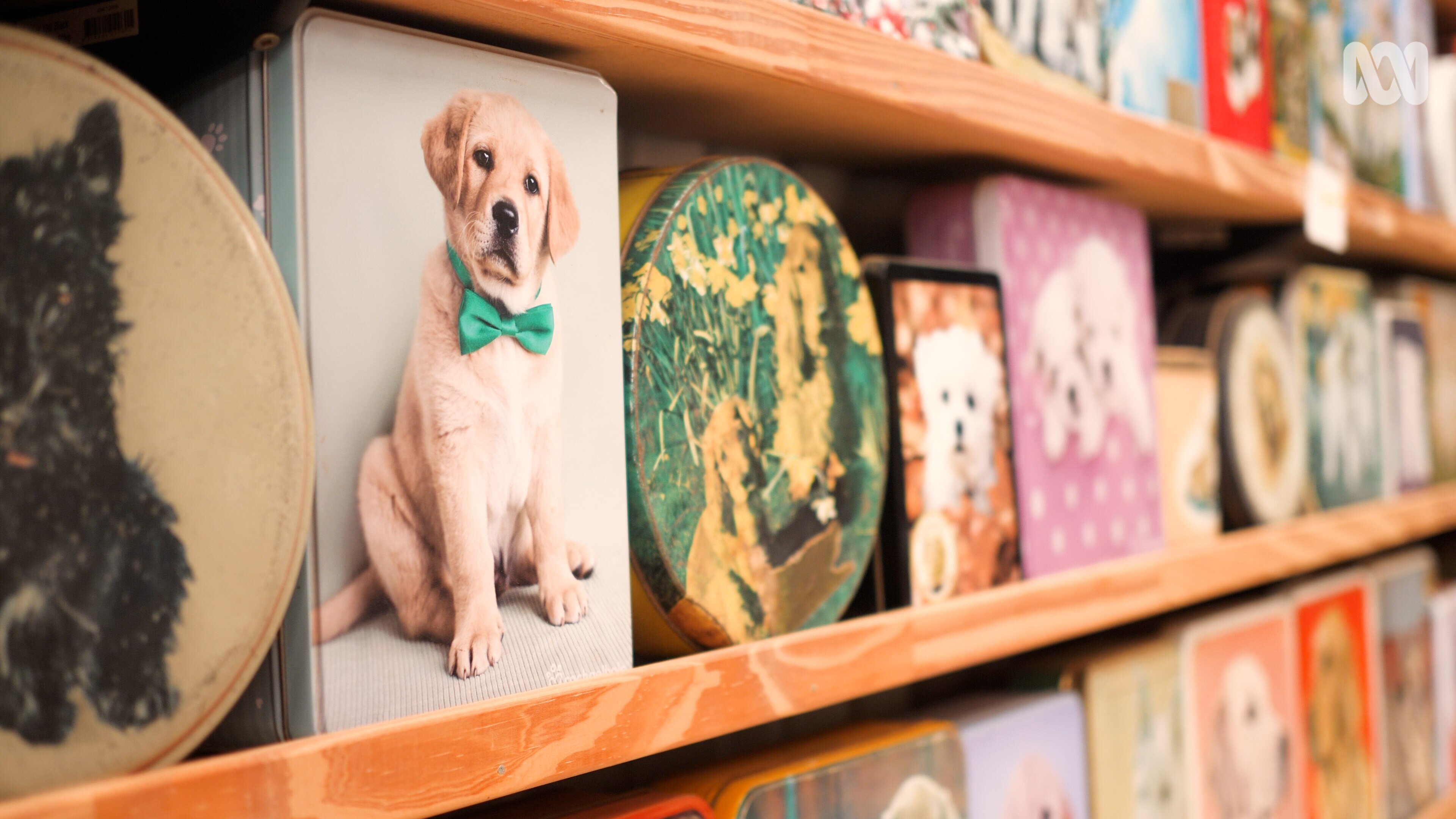 Apprentice 'tin heads' wanted to take on country's largest collection ...