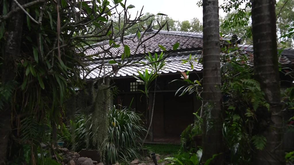 The small North Queensland sugar town of Ingham is home to the only ...