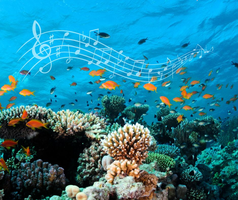 Reef songs are being played to encourage coral regrowth - ABC listen