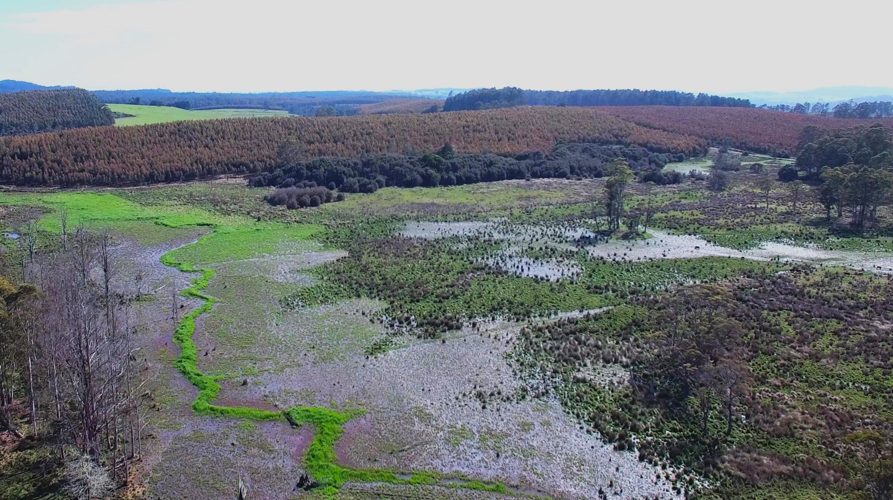 Flooded farmers in Tasmania's north-west call for complete stop to ...