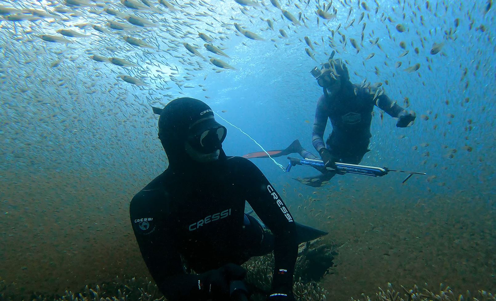 'I see them every dive': spearfishers accept and adapt to shark risk ...