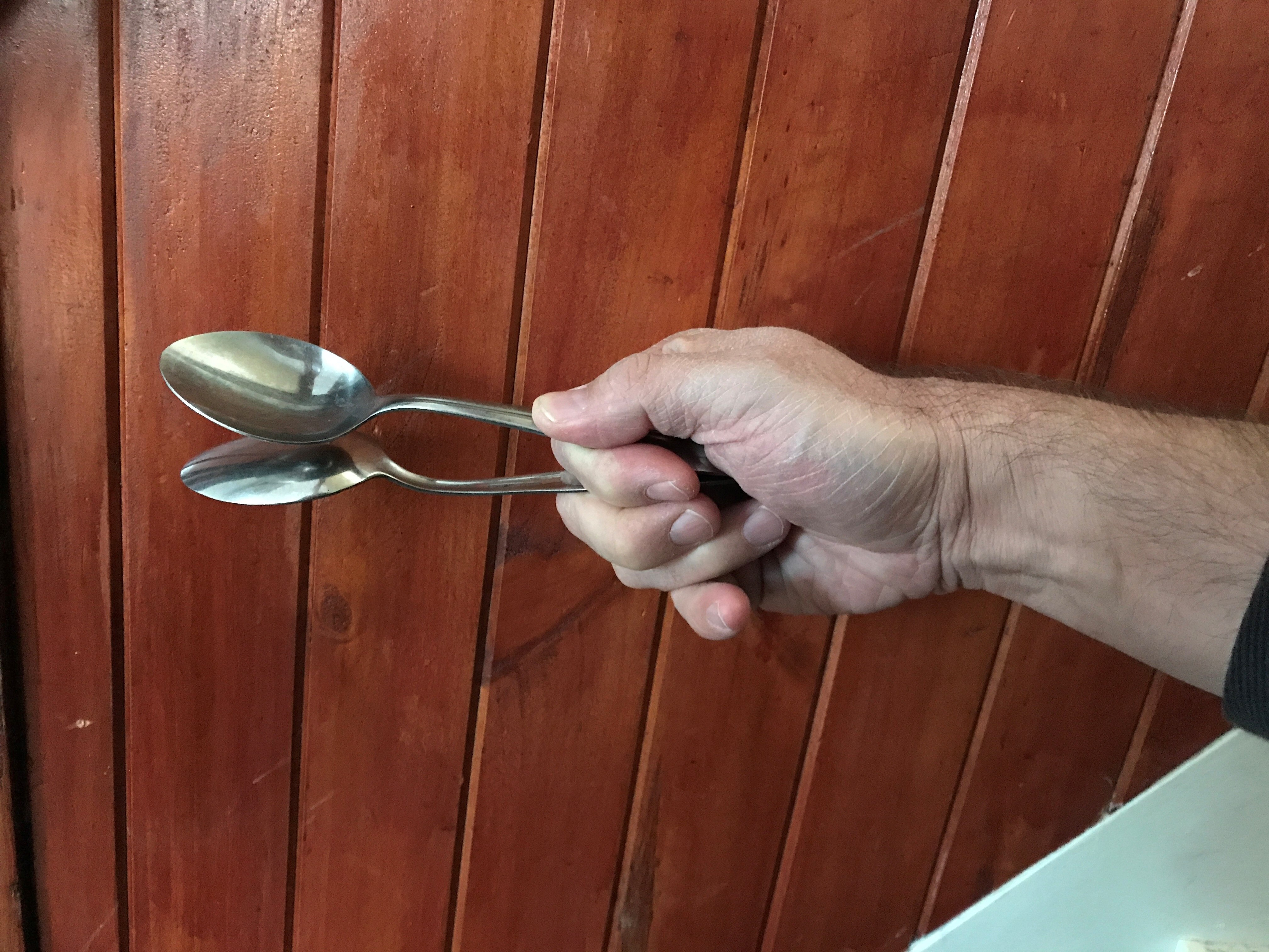 Home school for grown-ups: playing the spoons! - ABC listen