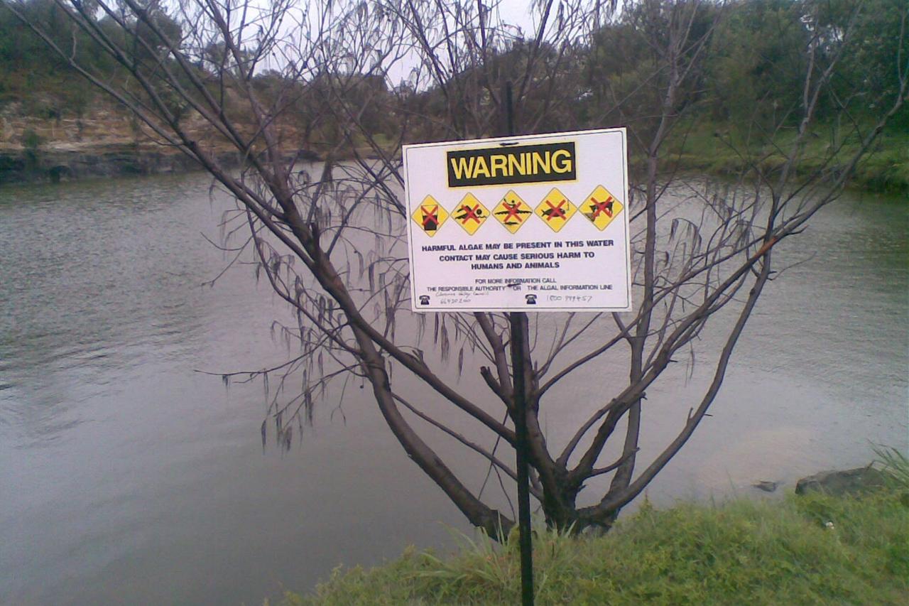 Toxic jump into Angourie's Blue Pool - ABC News