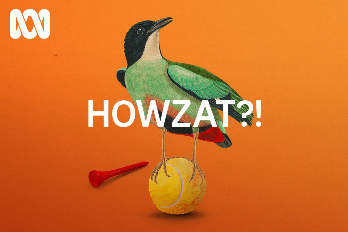 Howzat?! - ABC Hobart