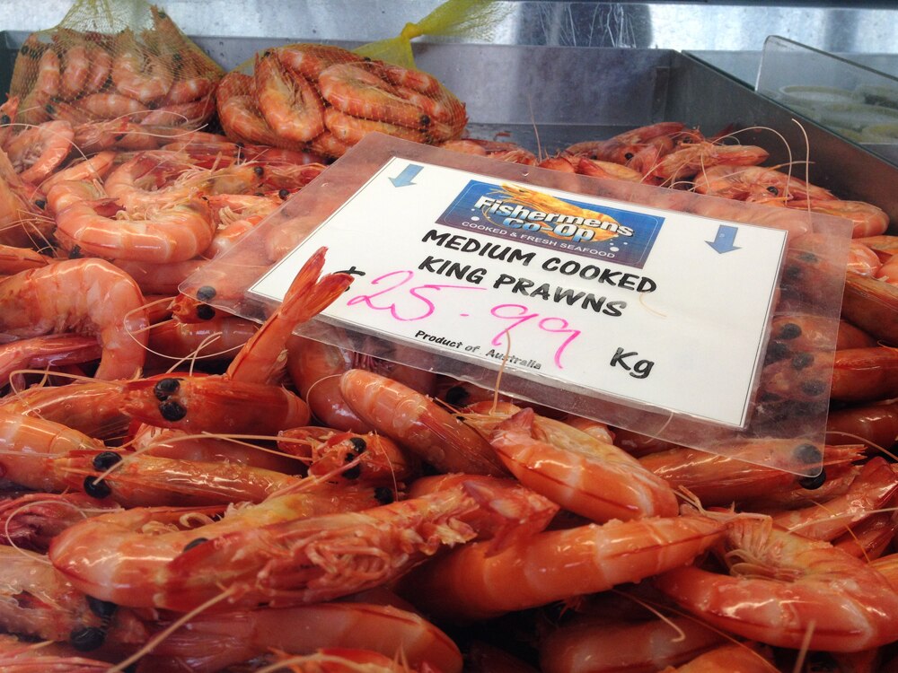 Ballina fishermen say 'cruel' and 'financially crippling' New South ...