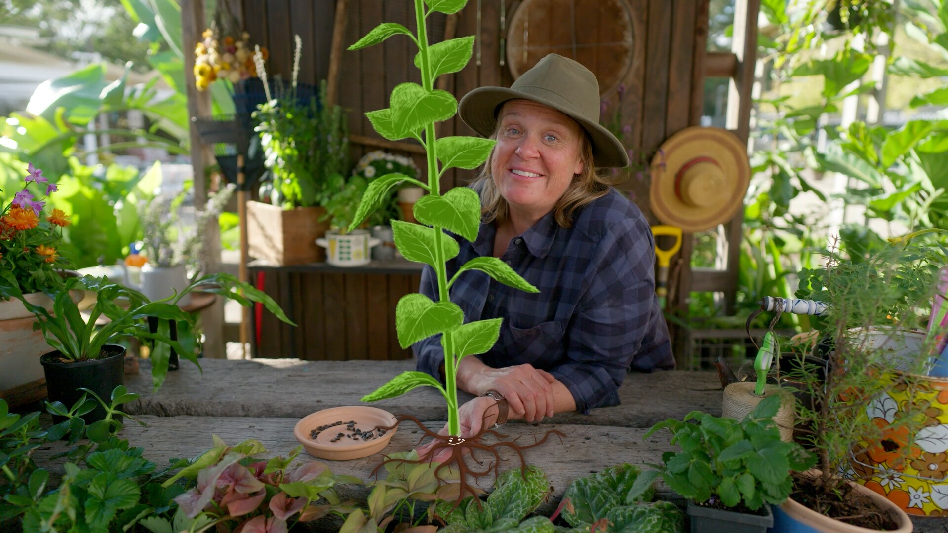 Gardening Australia Junior: How to wake a sleeping seed - ABC Education