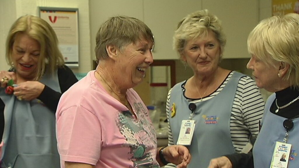 Local heroes: Sydney Children's Hospital volunteer Margaret Carr 'like ...