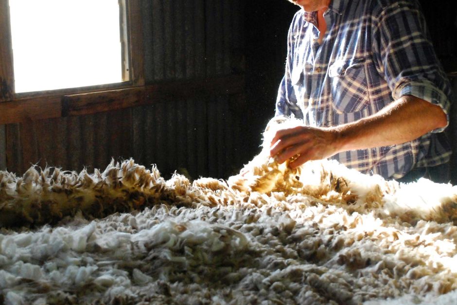 Australian Wool Innovation draws down on reserves to fund marketing ...