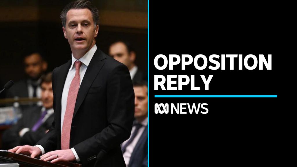 NSW Opposition replies to state budget announcements - ABC News