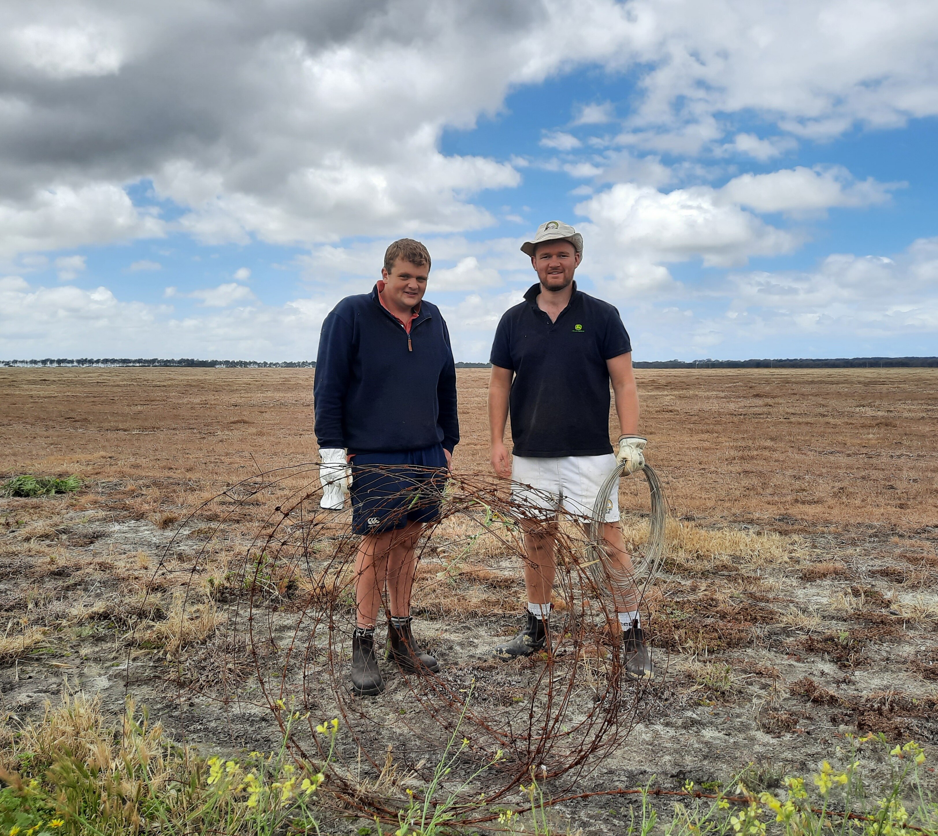 Backpackers return to WA farms for harvest after COVID hiatus - ABC News