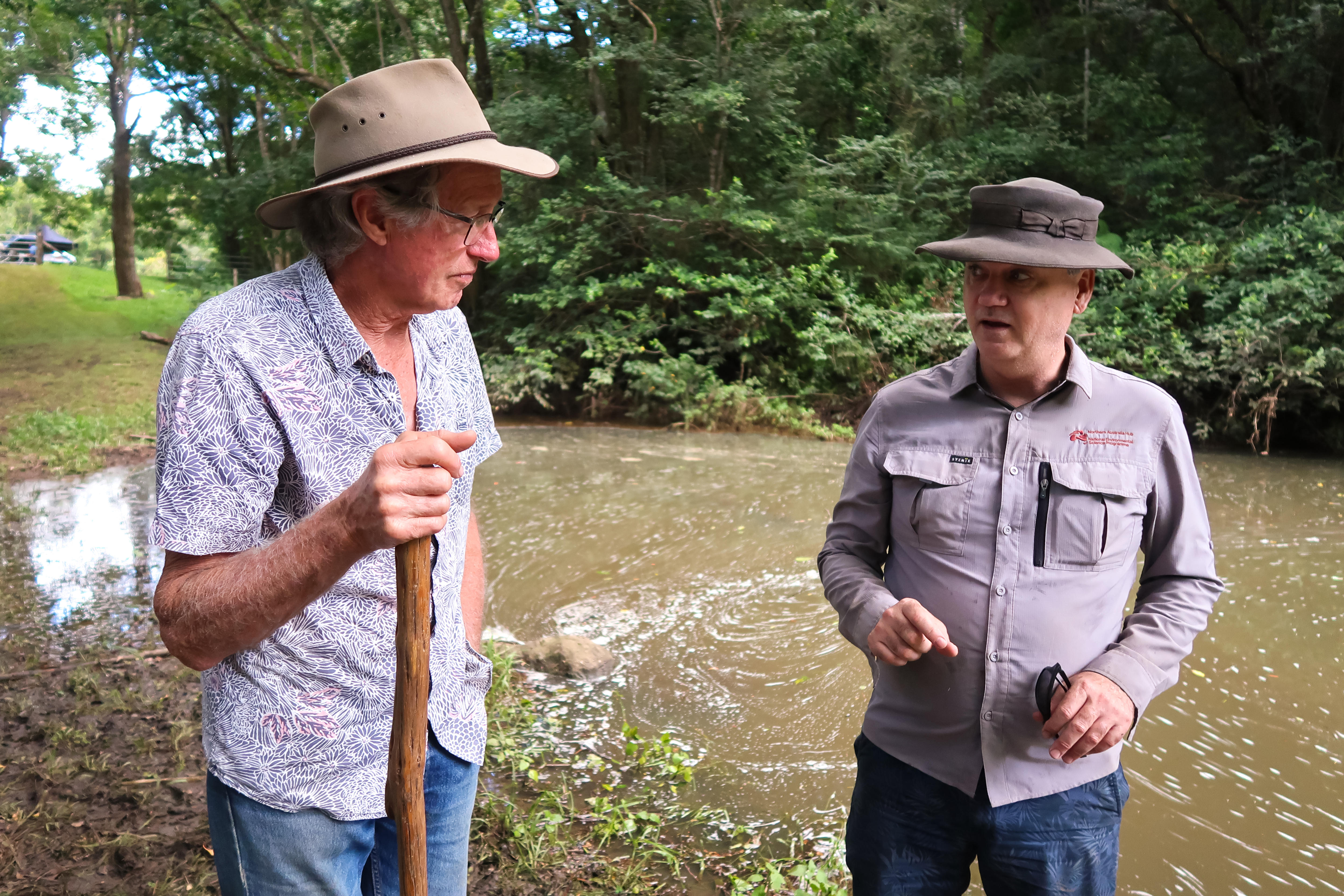 Mary River's rare, endangered species numbers are falling, but ...