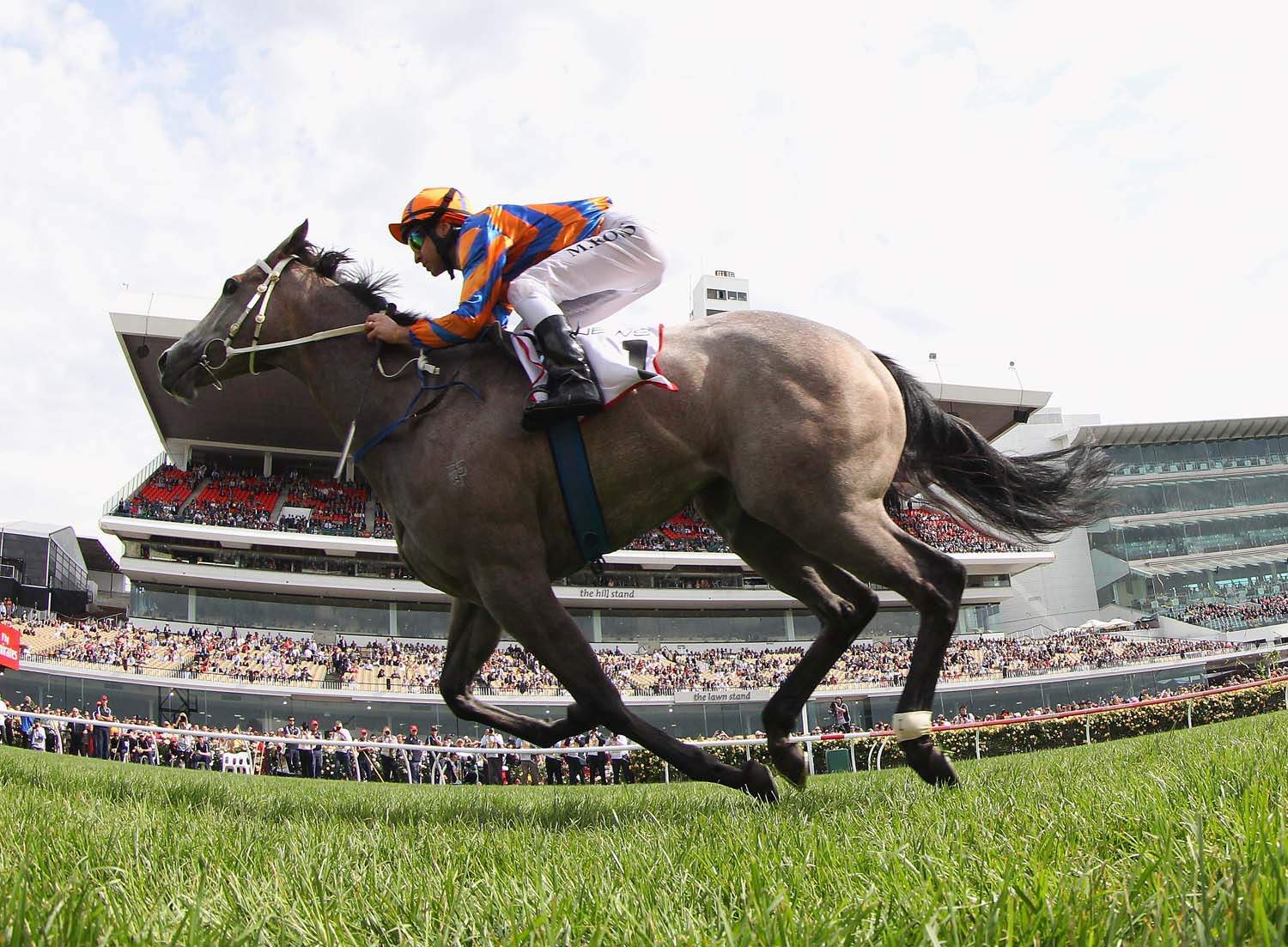 As it happened: Green Moon wins Melbourne Cup - ABC News