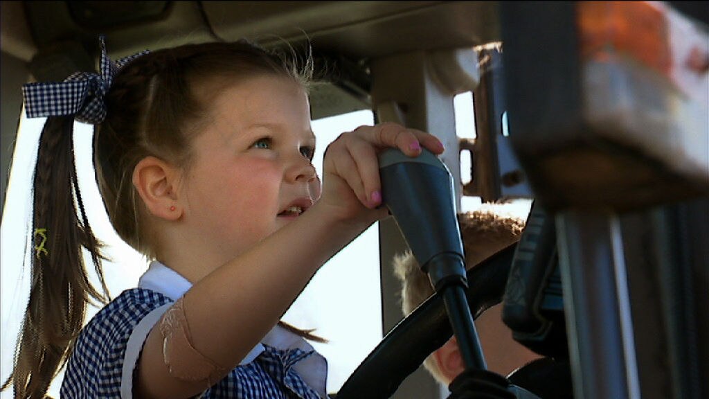 Farm Studies - ABC News