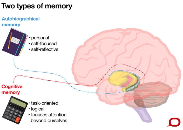 The emotion centre is the oldest part of the human brain - ABC News