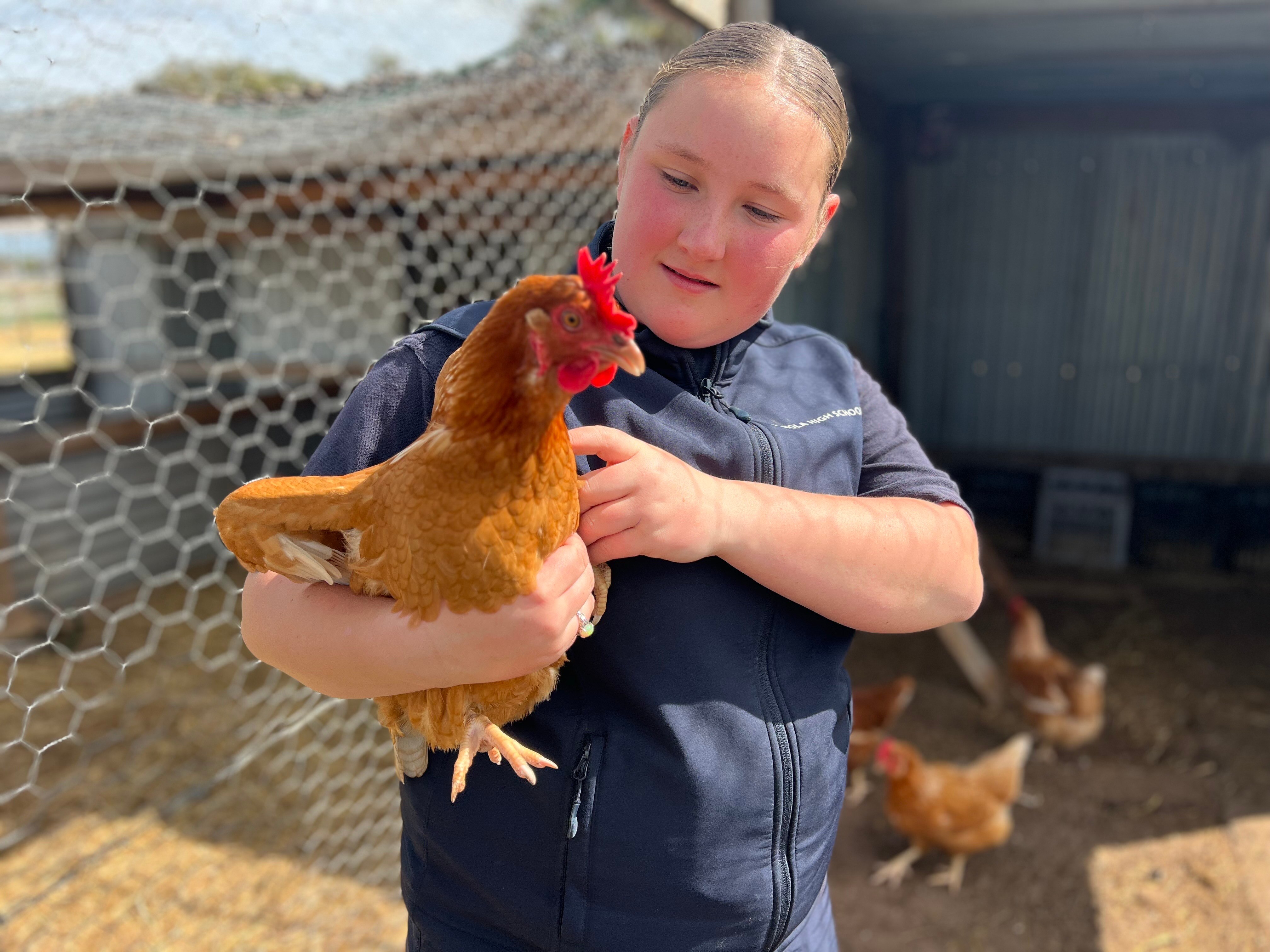 Penola High School's agriculture program revives community and ...