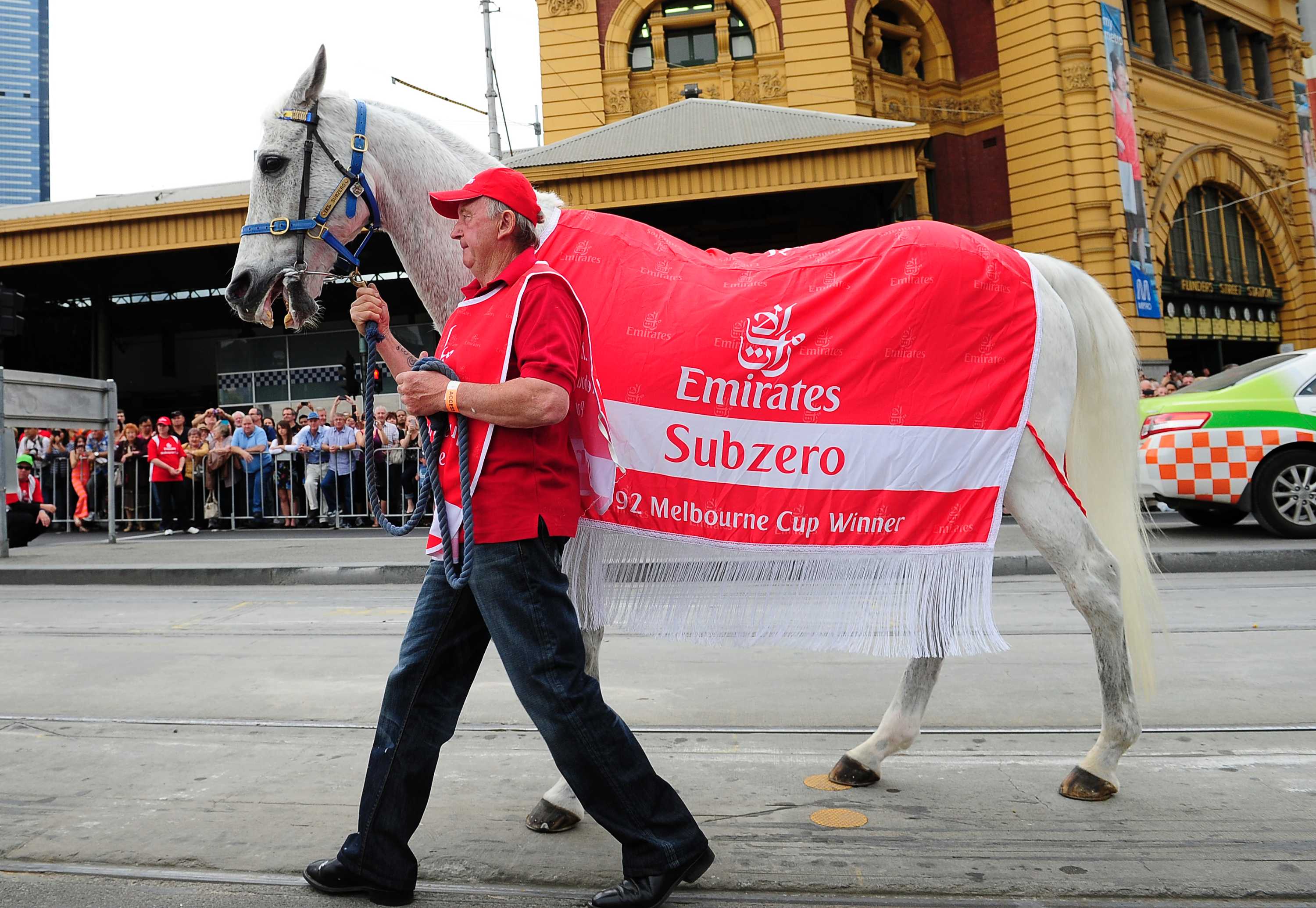 Subzero, 1992 Melbourne Cup winner, dies of heart failure - ABC News