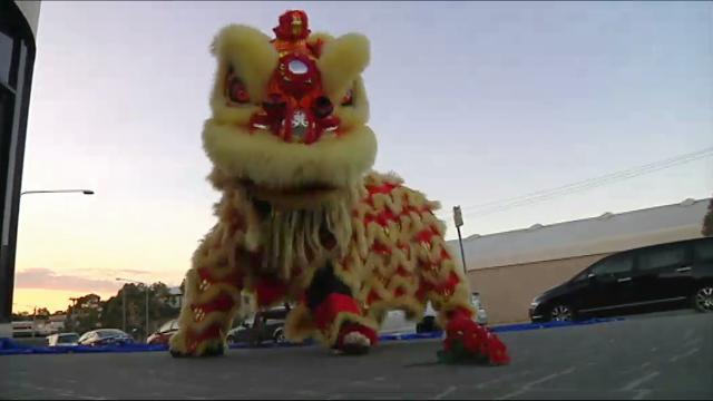 Dancing lions celebrate the Lunar New Year - ABC Education