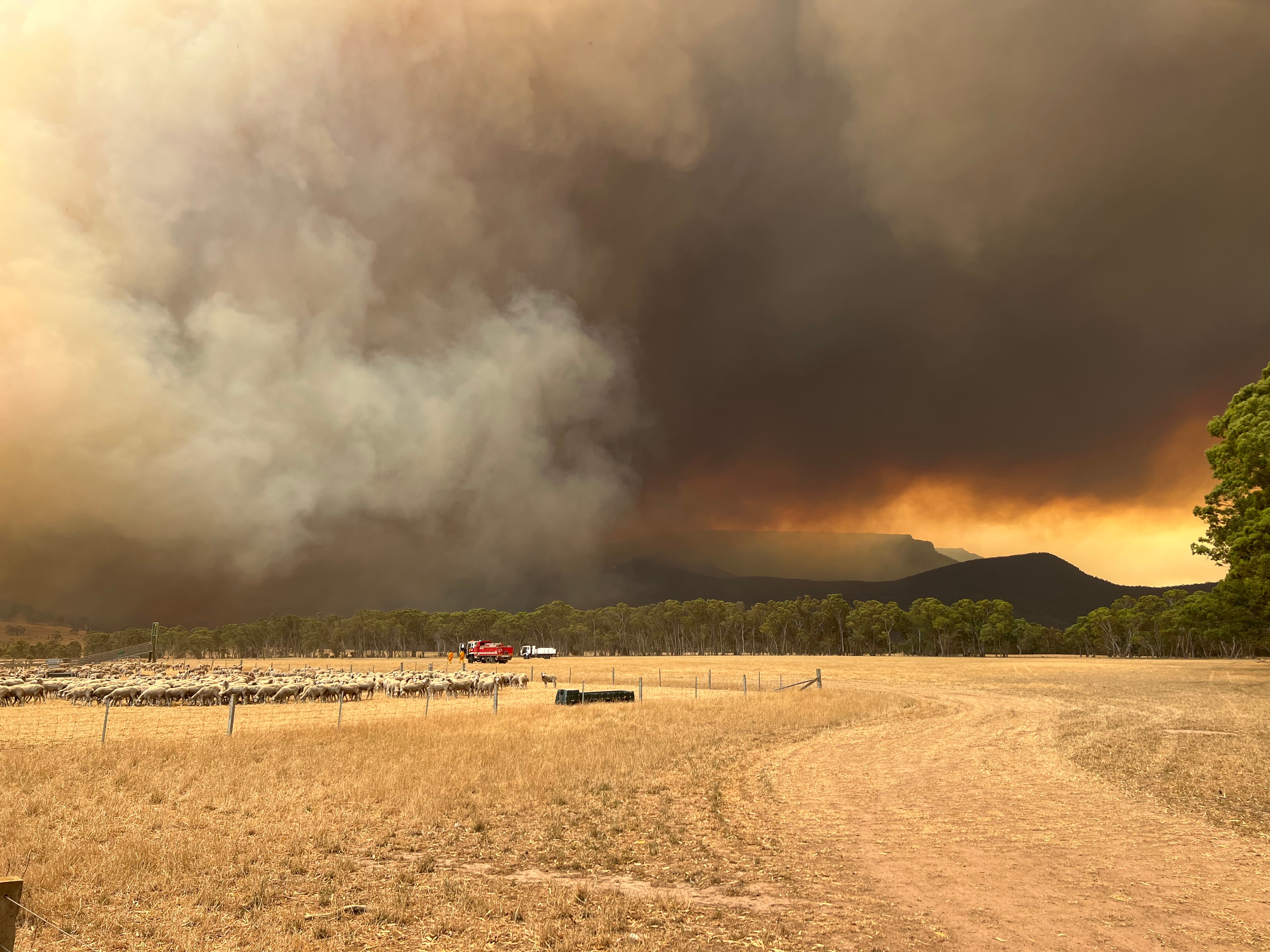 Penny Wong and Israeli Foreign Minister Gideon Sa'ar clash in heated ...