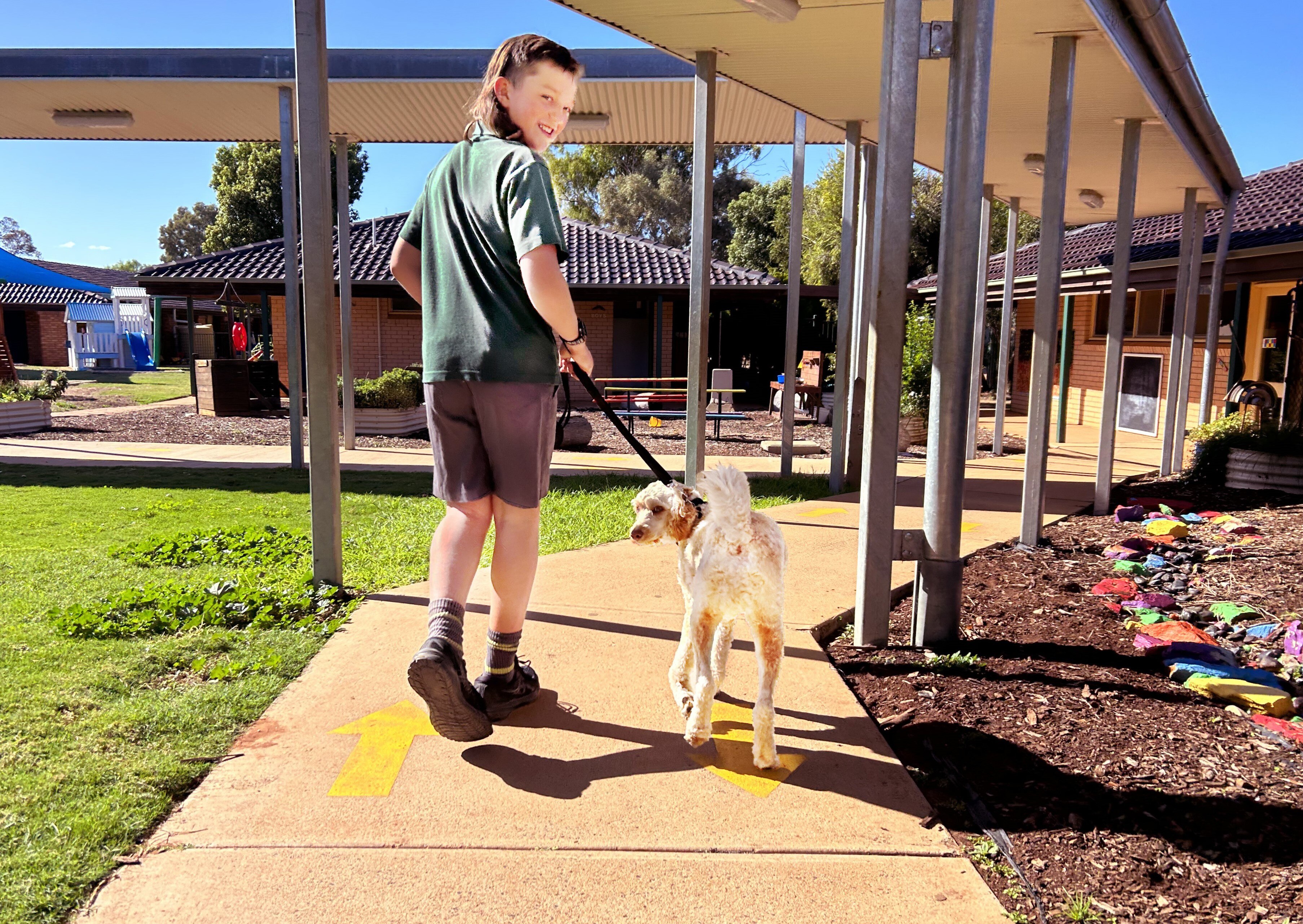 Alby the therapy dog brings joy to students and staff…