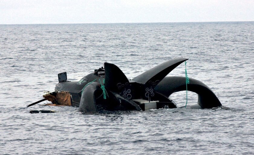 Anti whaling activist emotional in Japanese court - ABC listen
