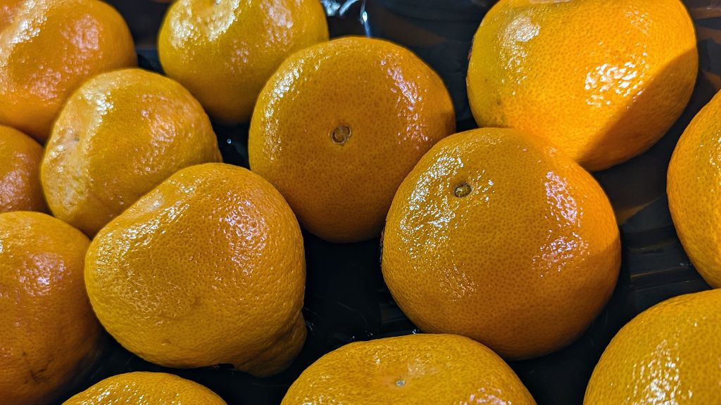 Mandarin packing at Venus Citrus in South Australia's Riverland - ABC News