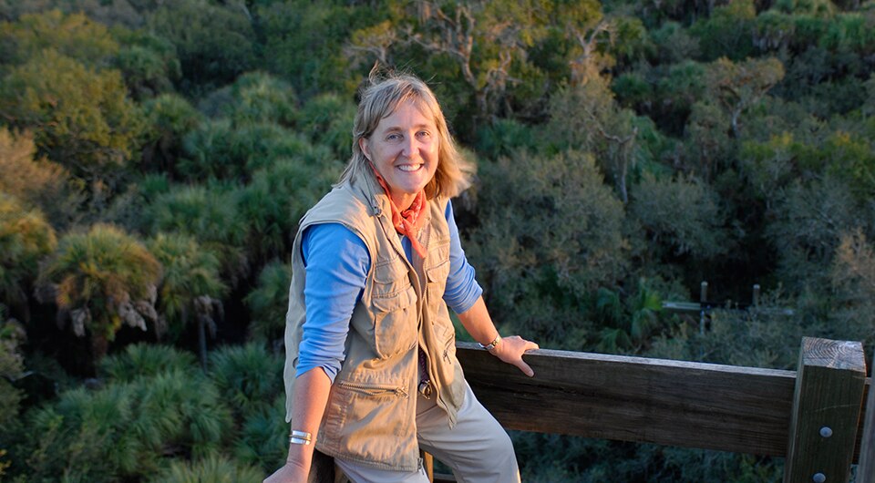 Canopy science: Discovering the 'eighth continent' in the treetops ...