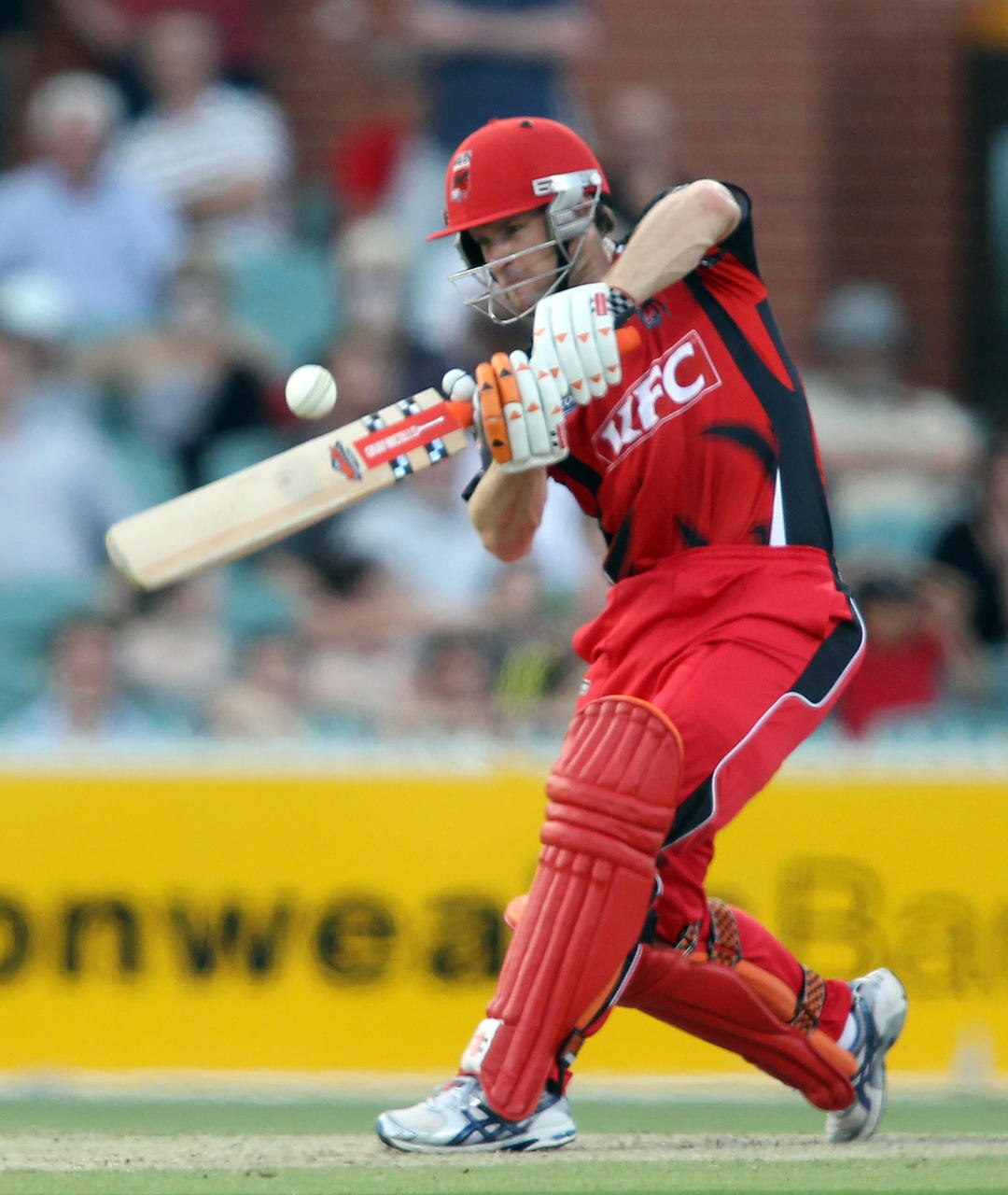 Big Bash League season guide - ABC News