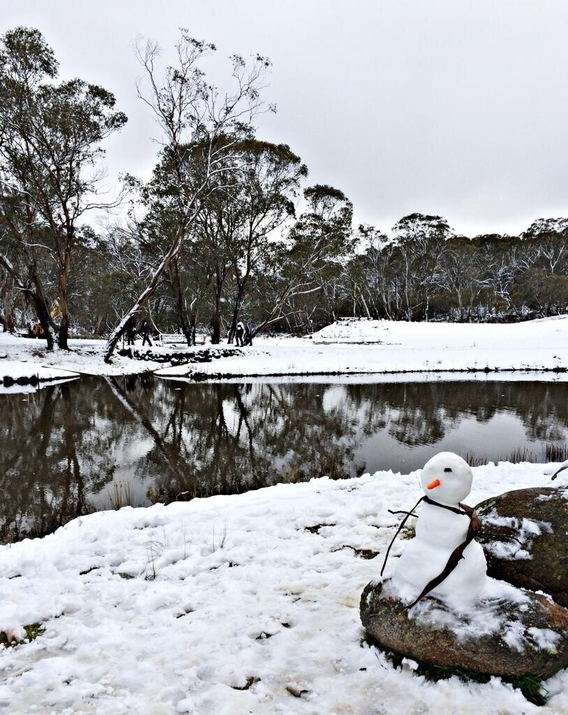 Canberrans enjoy cold snap in city centre, Corin Forest - ABC News