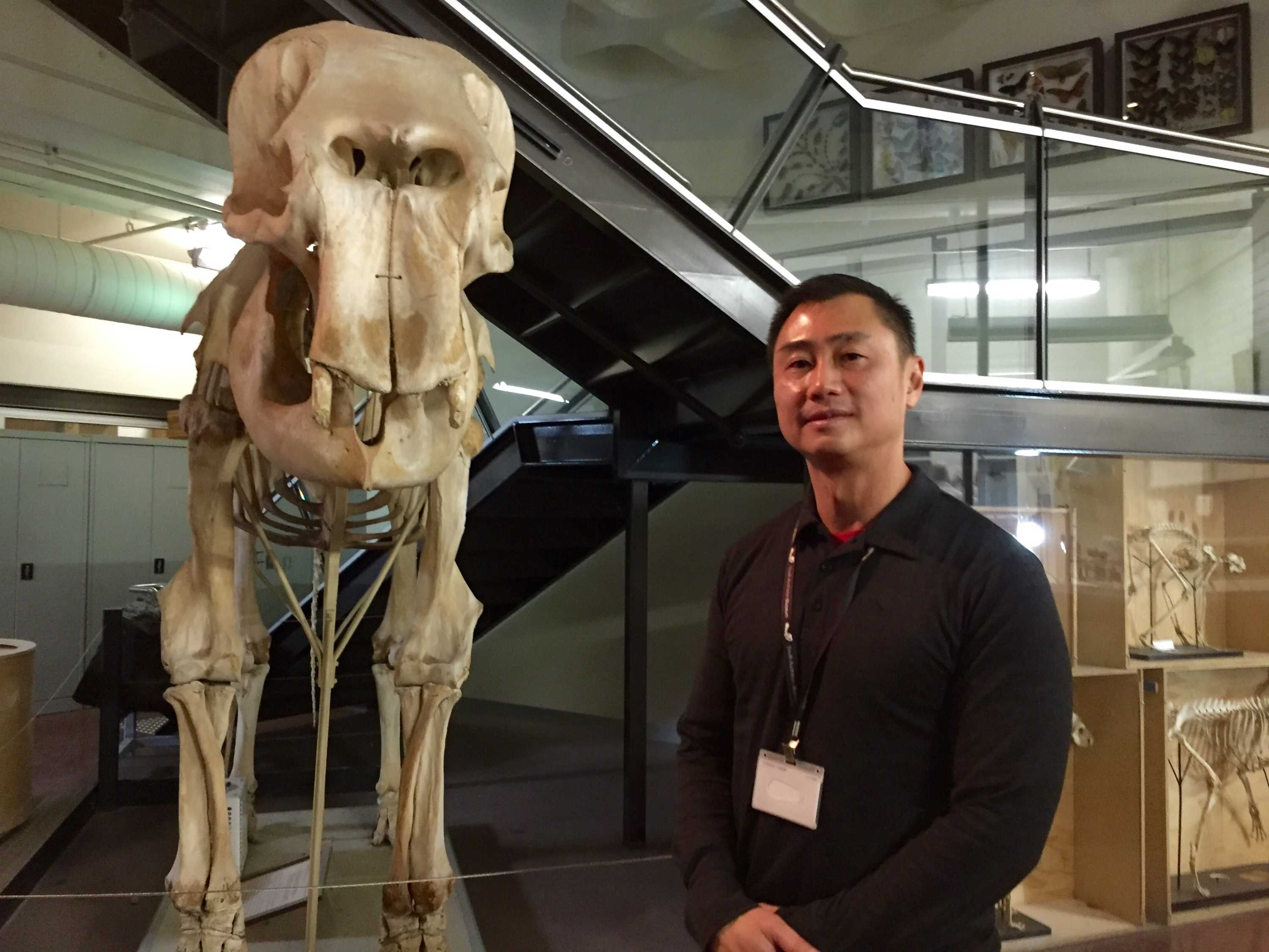 Number of plant and animal species could be 10 times greater, Flinders ...