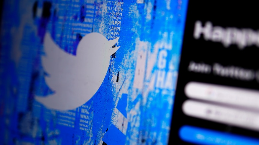 As Twitter sheds more employees, is Elon Musk's social media platform ... As Twitter sheds more employees, is Elon Musk's social media platform ...