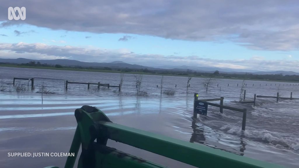 Paddocks are underwater at Newry after flooding rain and dam releases ...