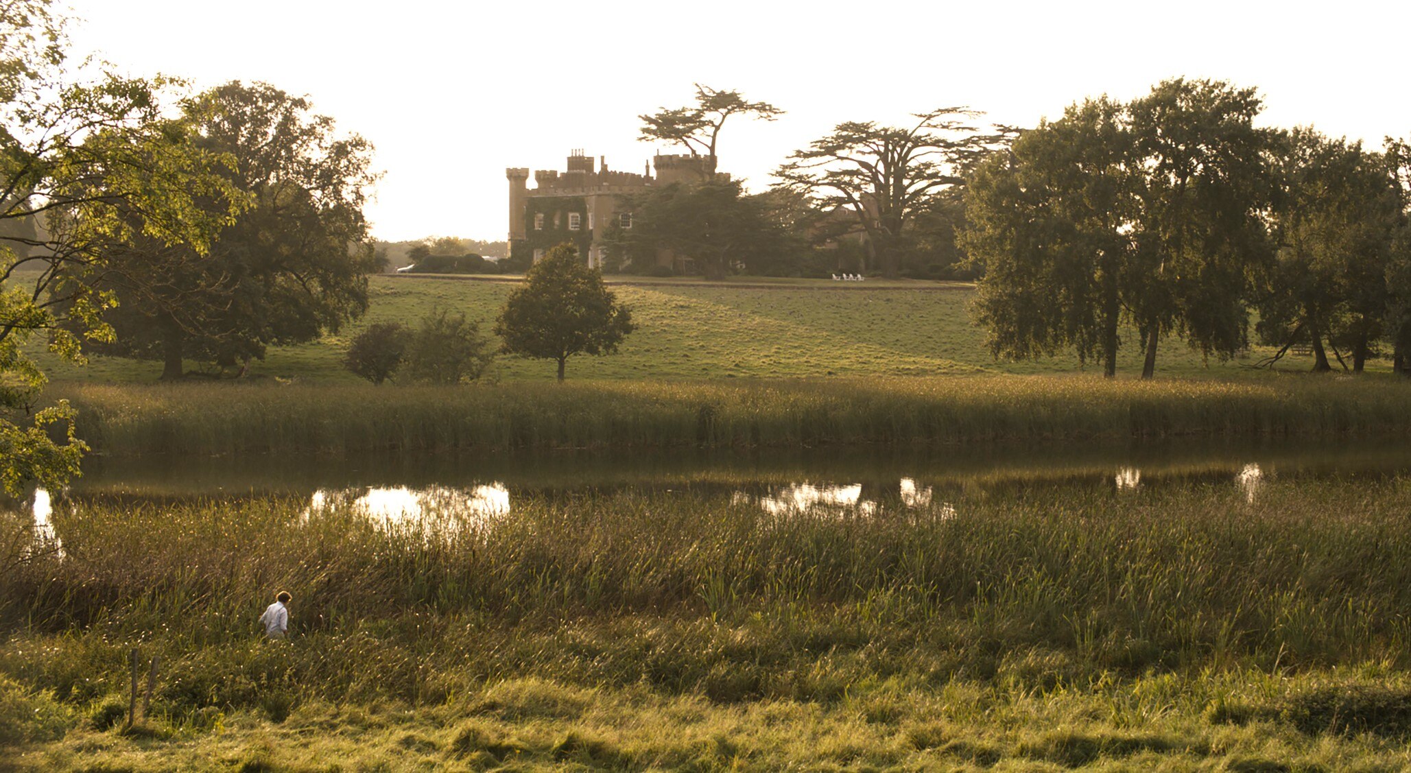 Wilding, based on Isabella Tree's book, shows how one failing farm ...