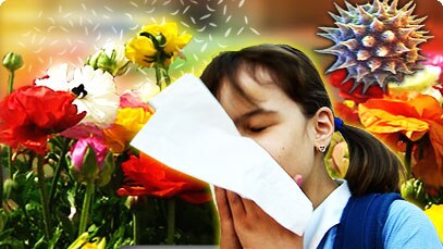 Hay fever - Behind The News