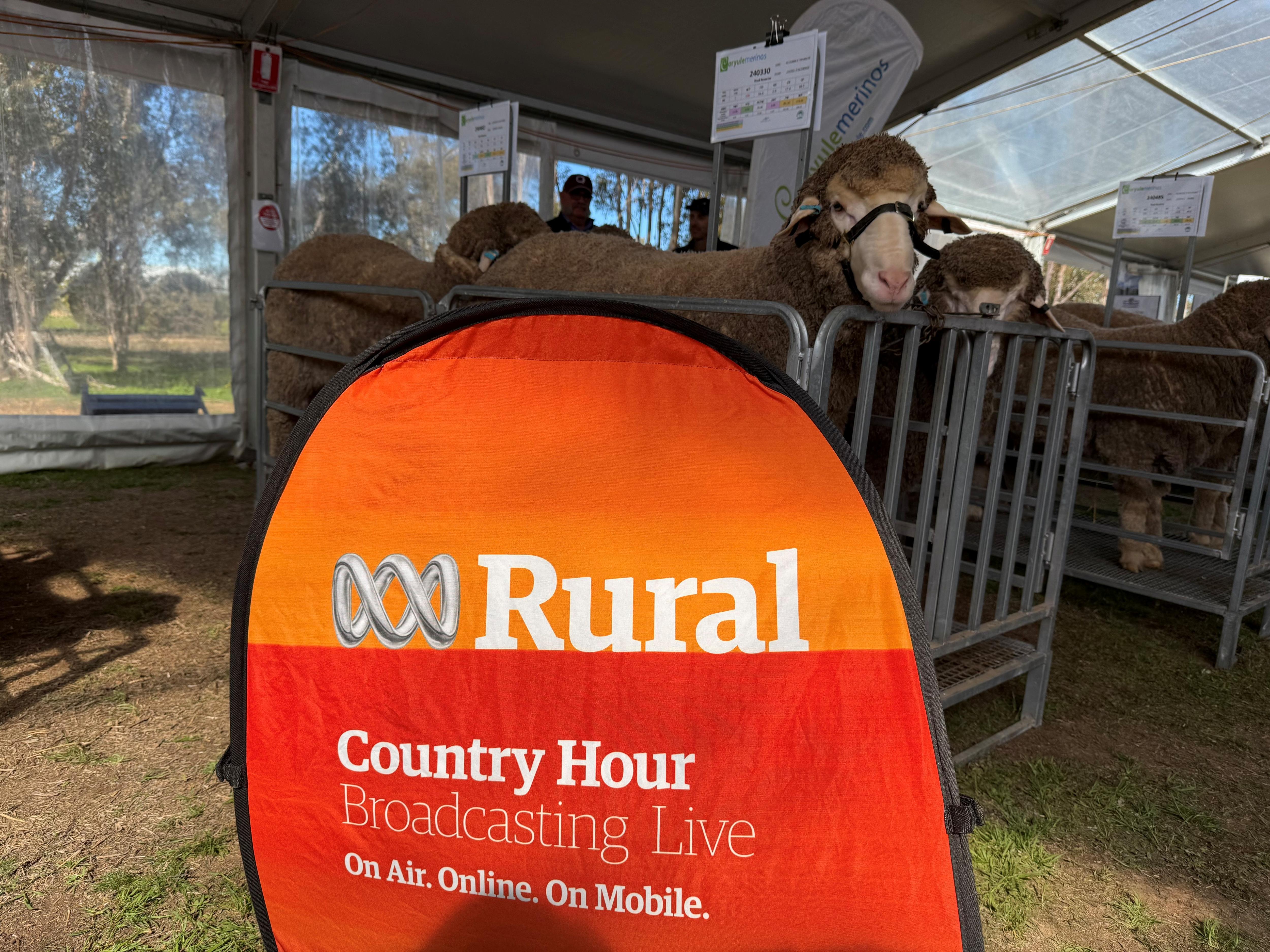 Victorian Country Hour - ABC listen