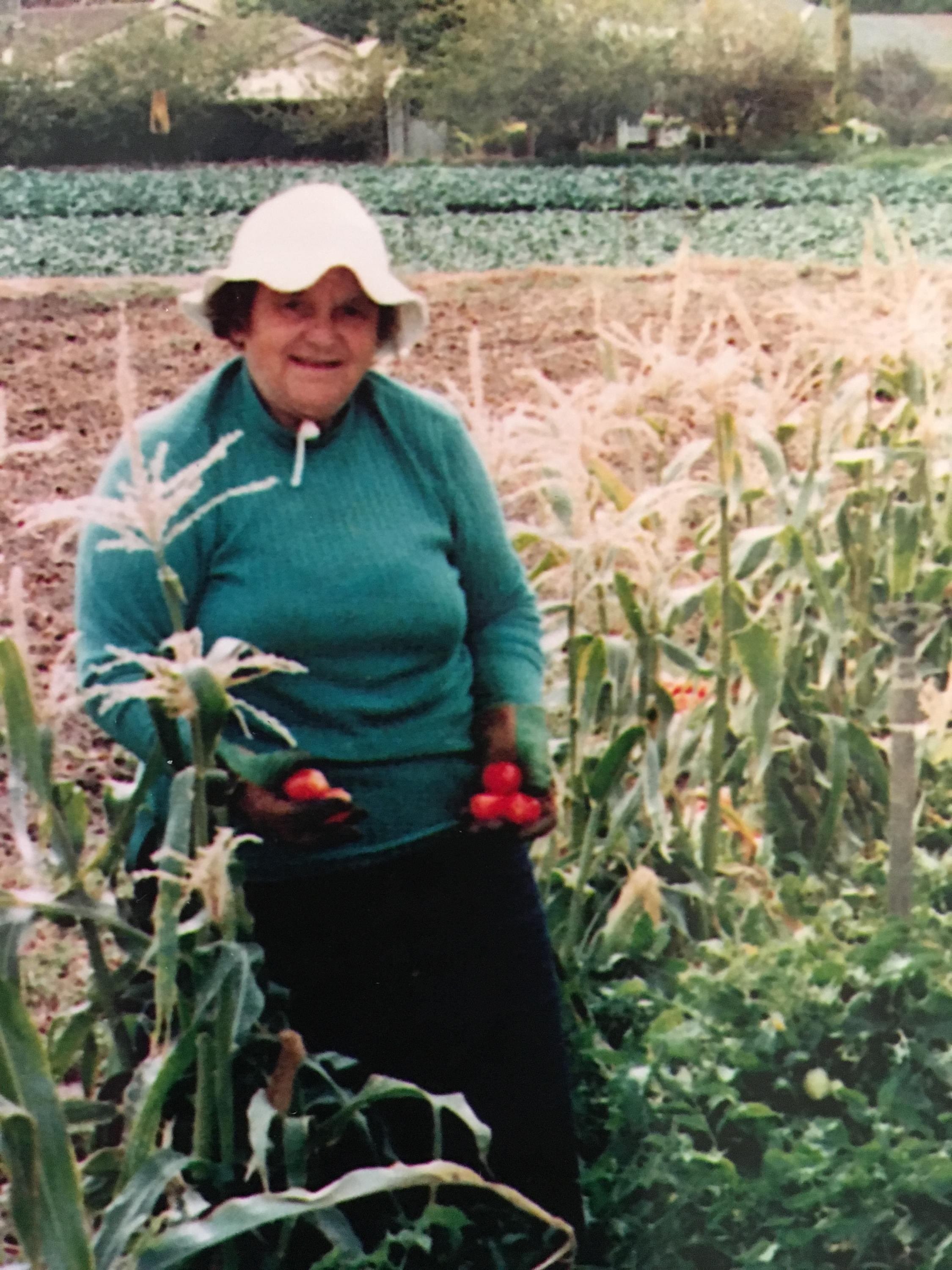 Concetta: The invisible market gardener - ABC News