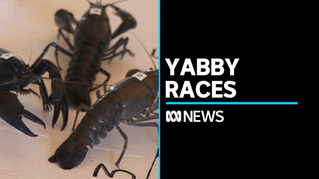 Yabby Races raise money for good cause - ABC News