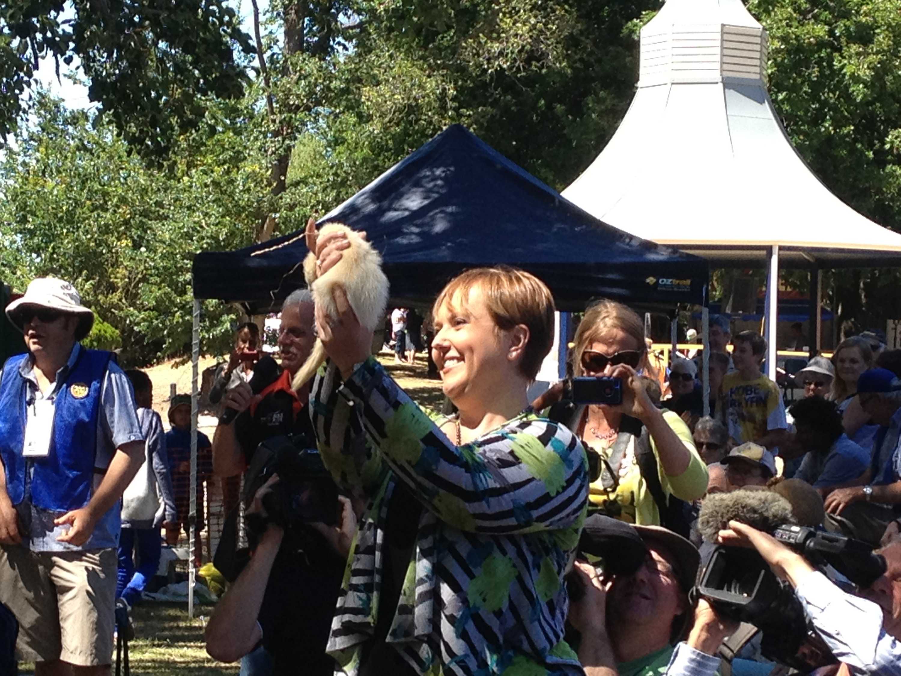 Premier's ferret the fastest on field - ABC News