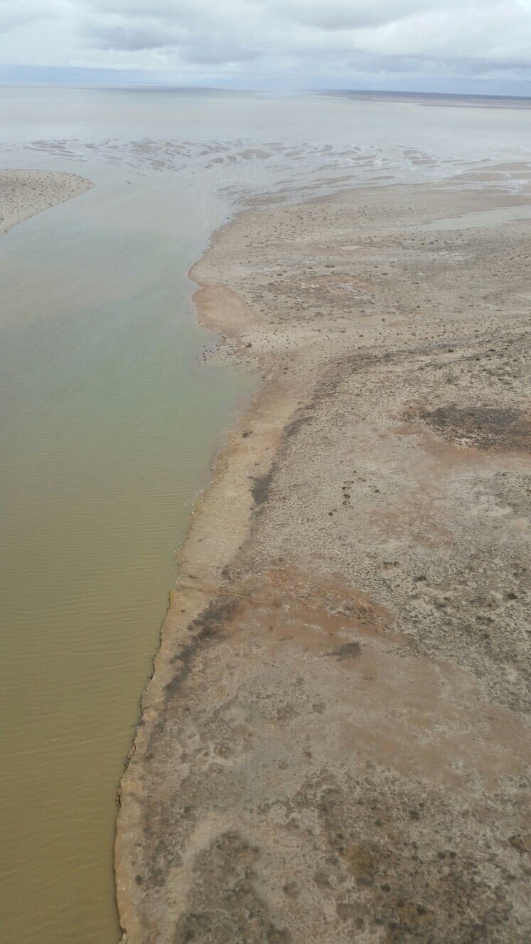 Tourists stranded in South Australian outback following heavy rain and ...
