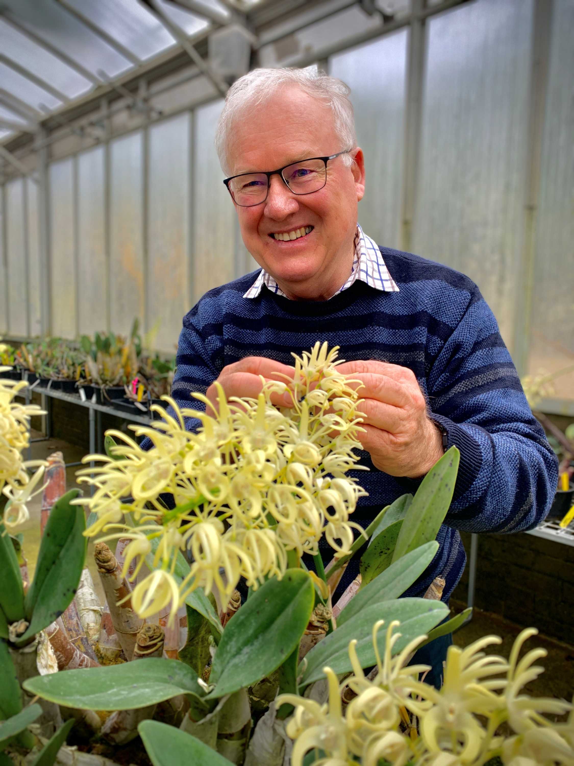 To protect this rare underground orchid, researchers are keeping its ...