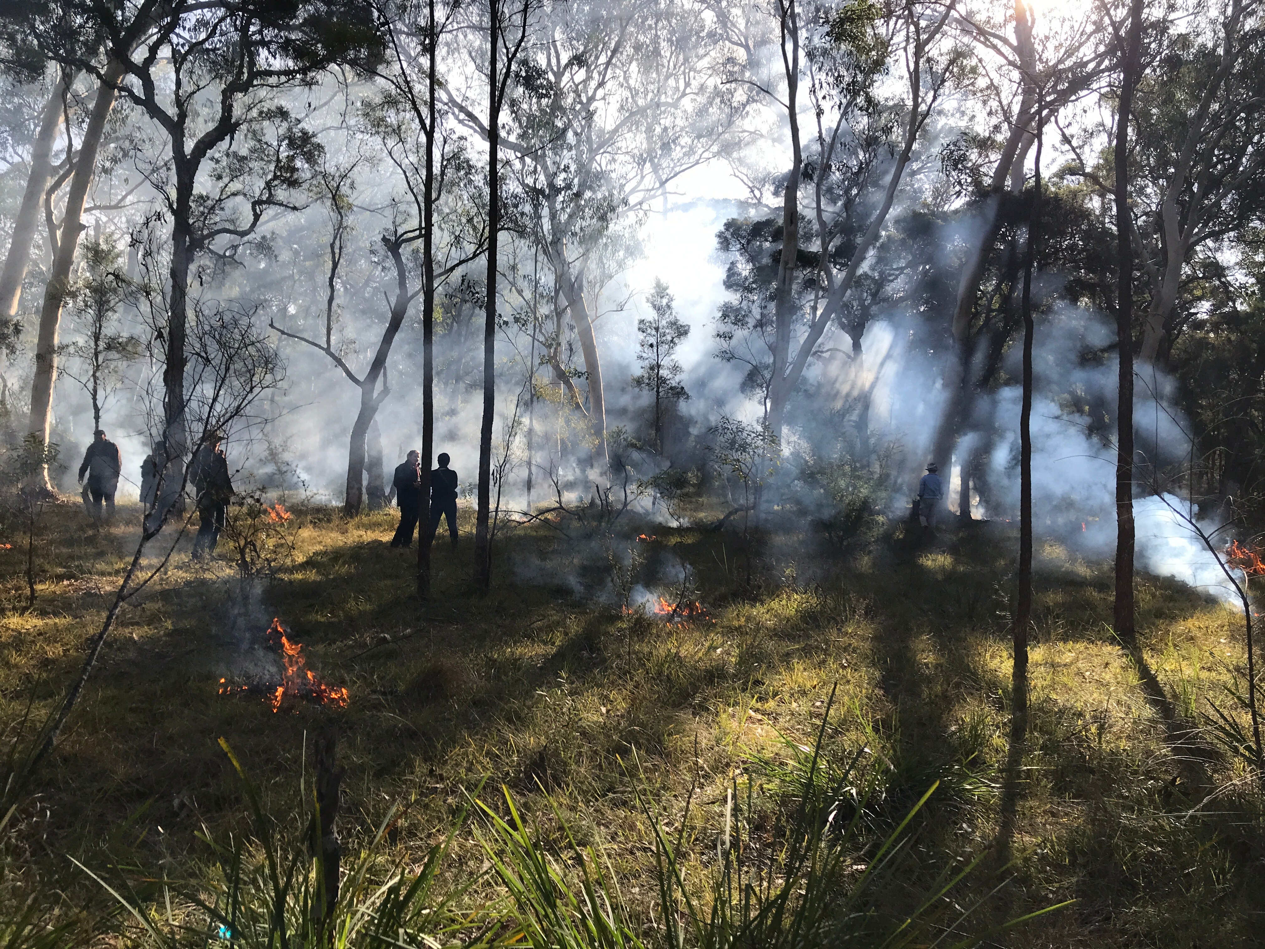 More cultural burns needed ahead of bushfire season, Indigenous ...
