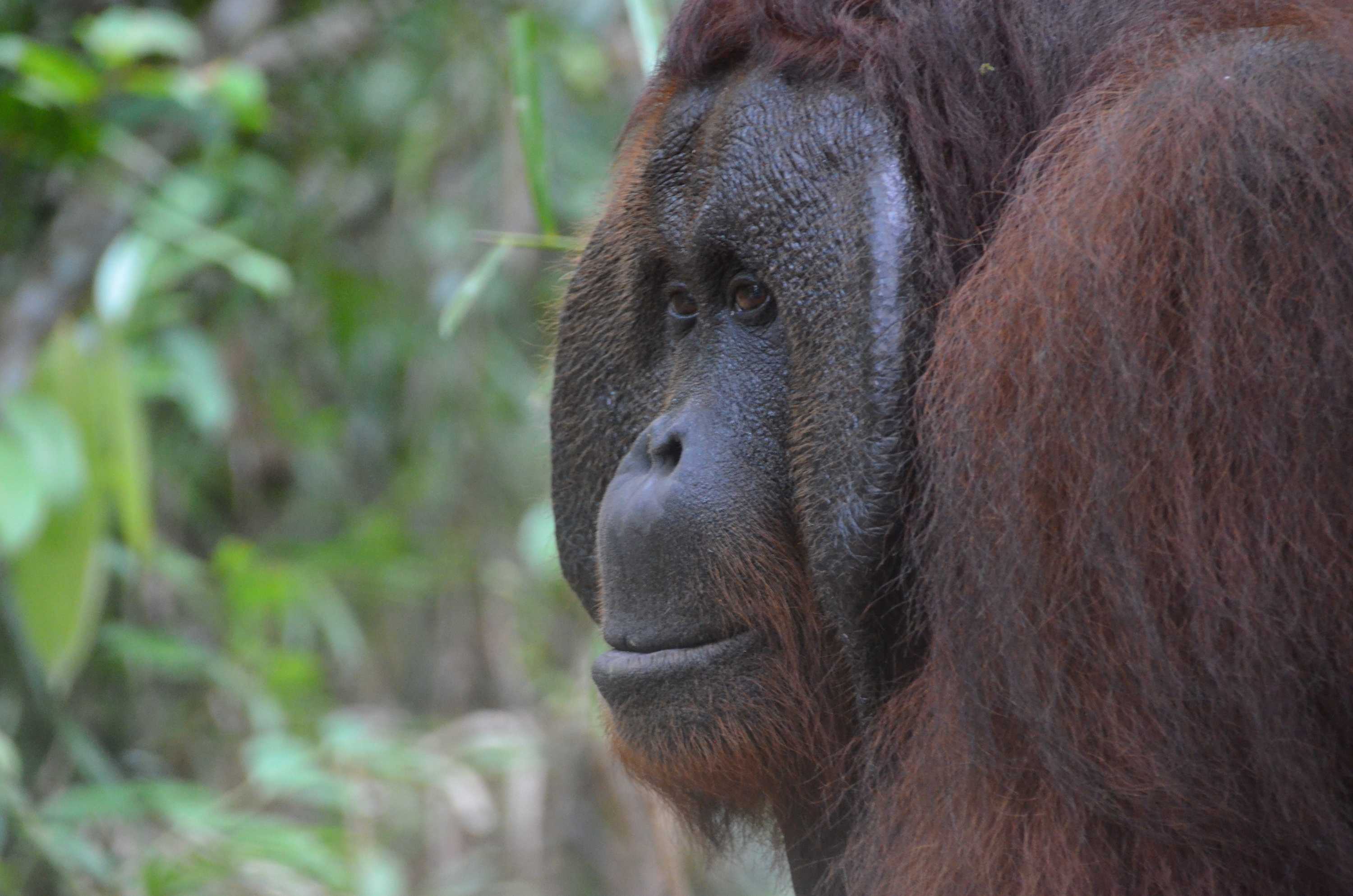 Kate Higgins - ABC News
