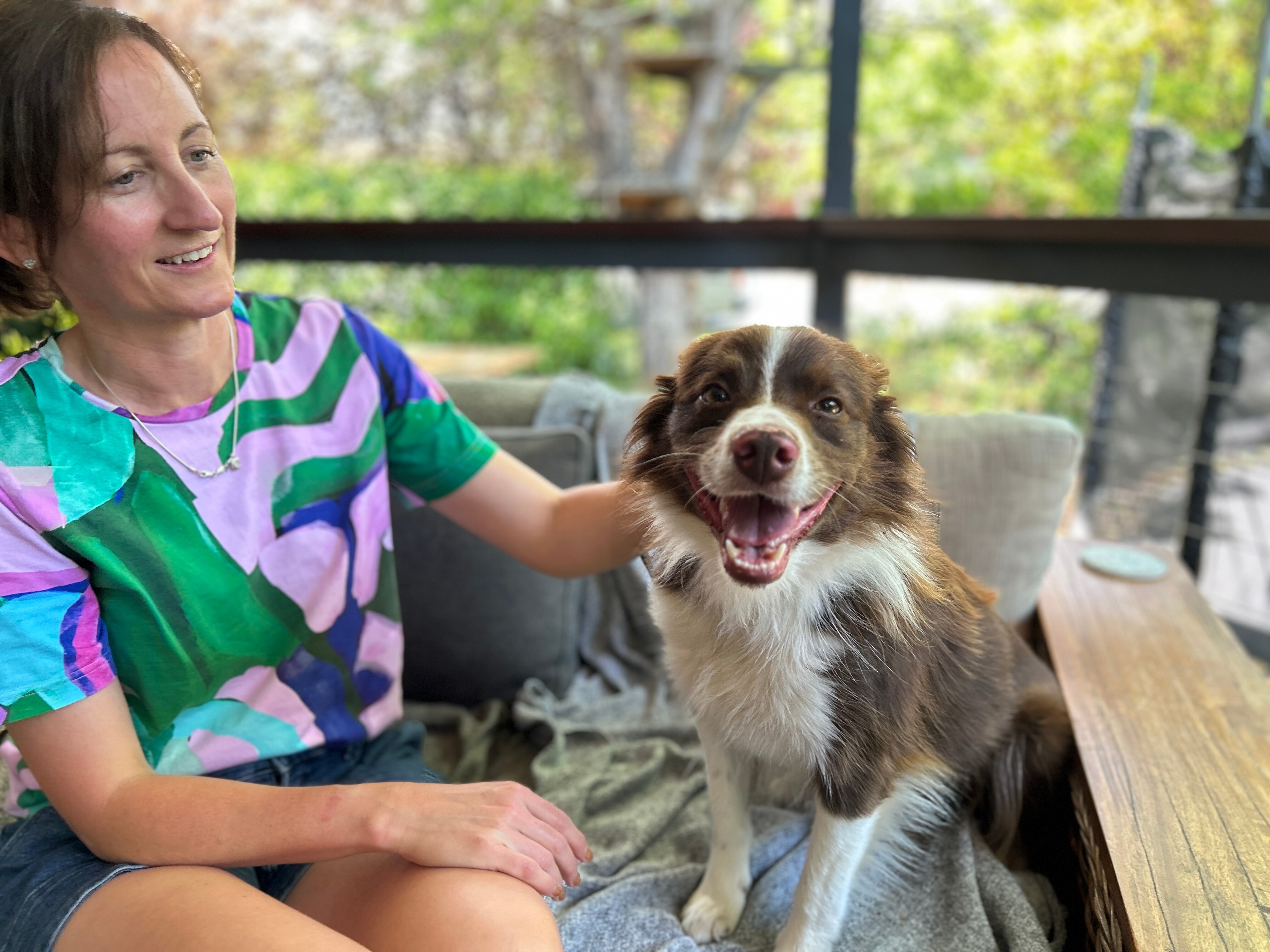 Neighbour's dog driving you barking mad? Here's what you can do about ...