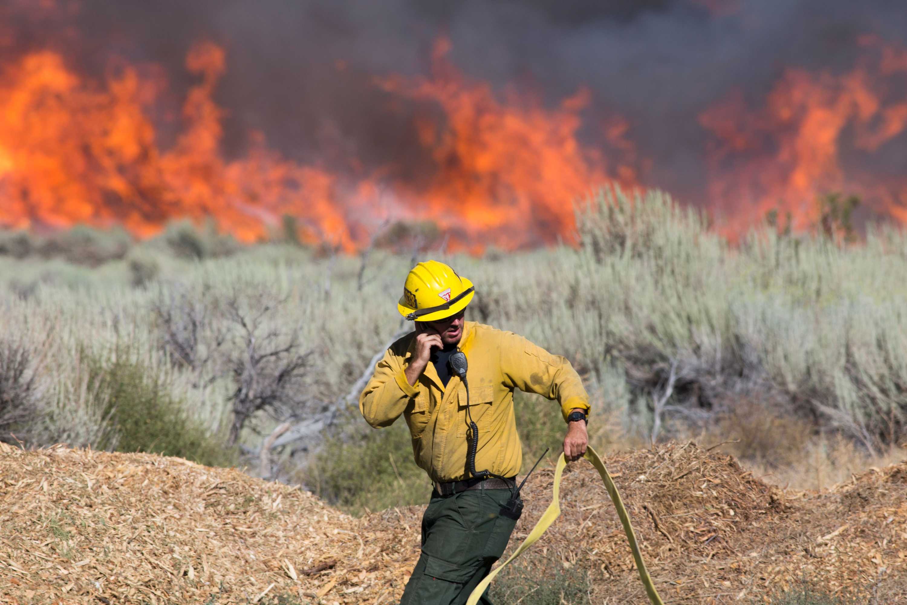 Fighting bushfires in the middle of a pandemic - triple j