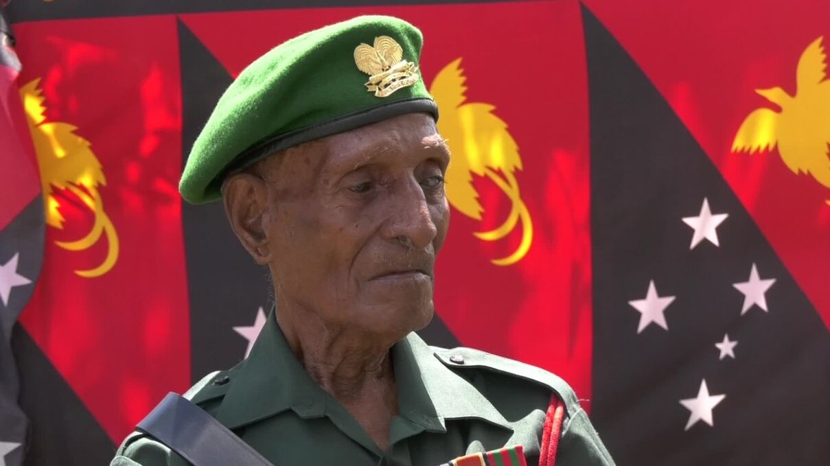 Monkeys in Palau: How Germany's colonial past, WWII and US military ...