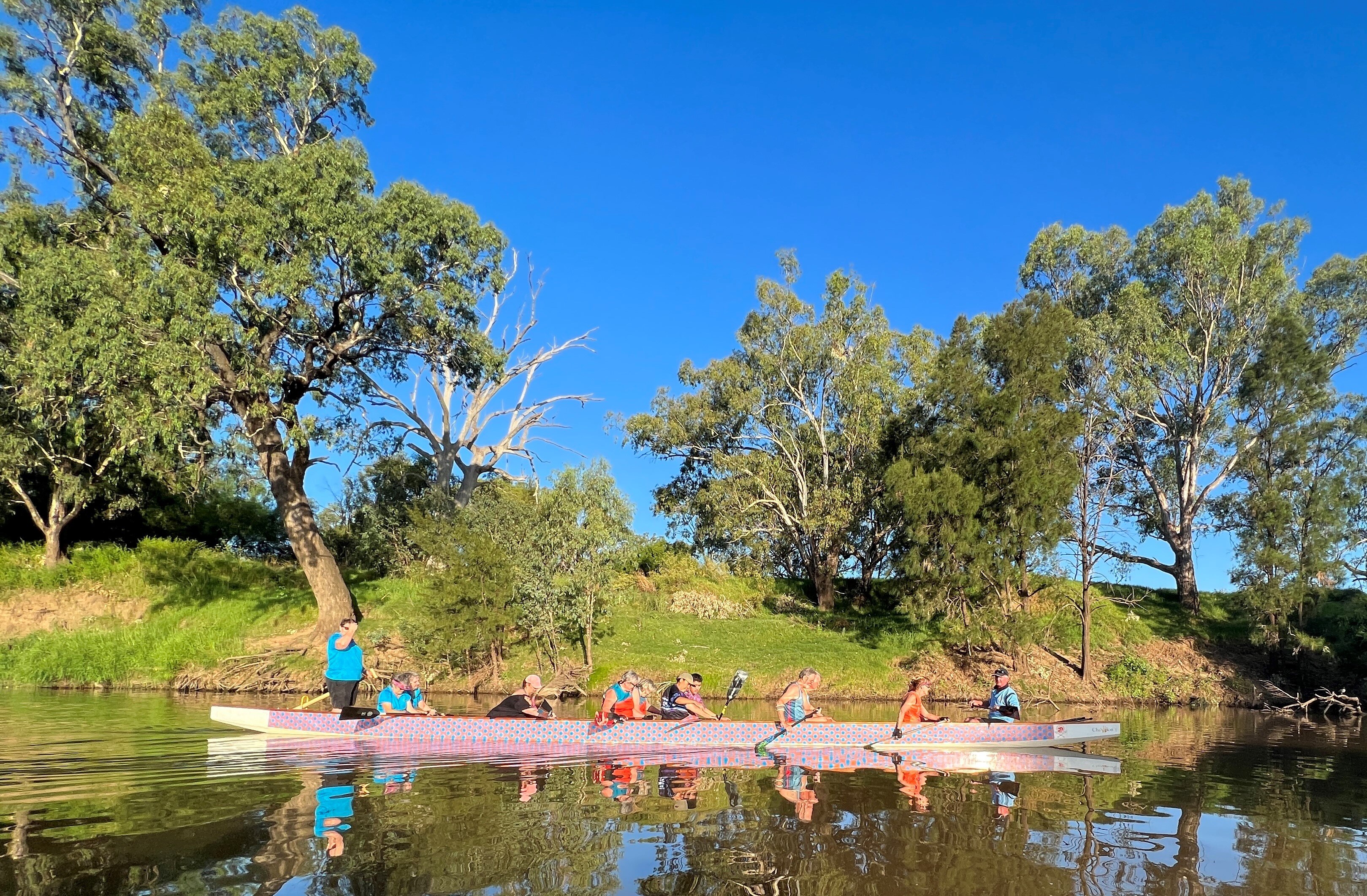 The Outback Dragons tearing their way along the Macquarie River - ABC ...