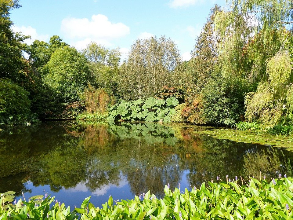 Small Bodies of Water: new essay collection celebrates the aquatic ...