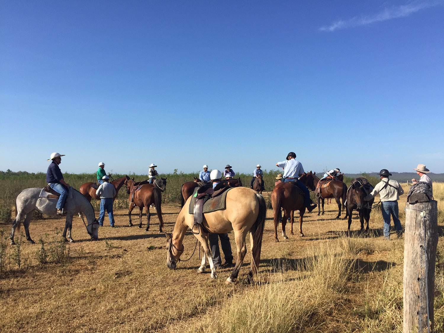 Police stock squad trains to target spike in cattle theft across ...