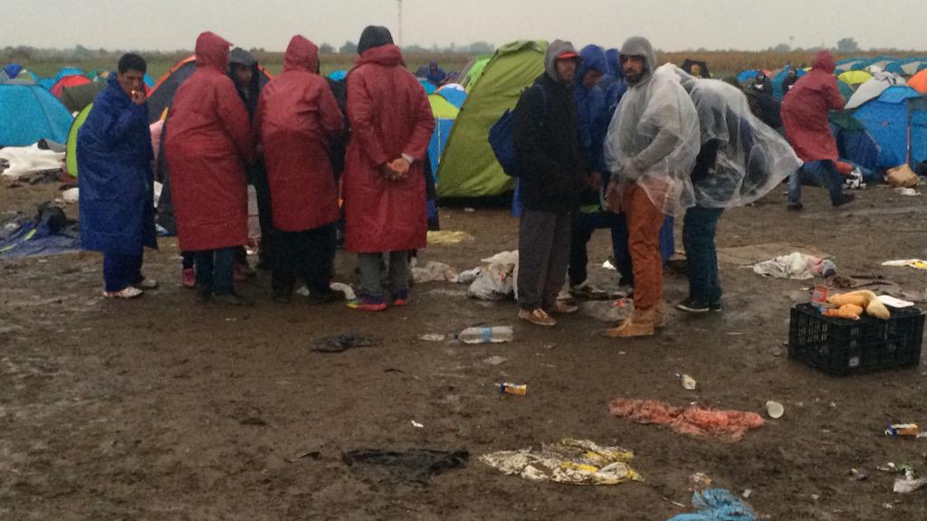 European migrant crisis: Concerns about risk of disease at Hungarian ...