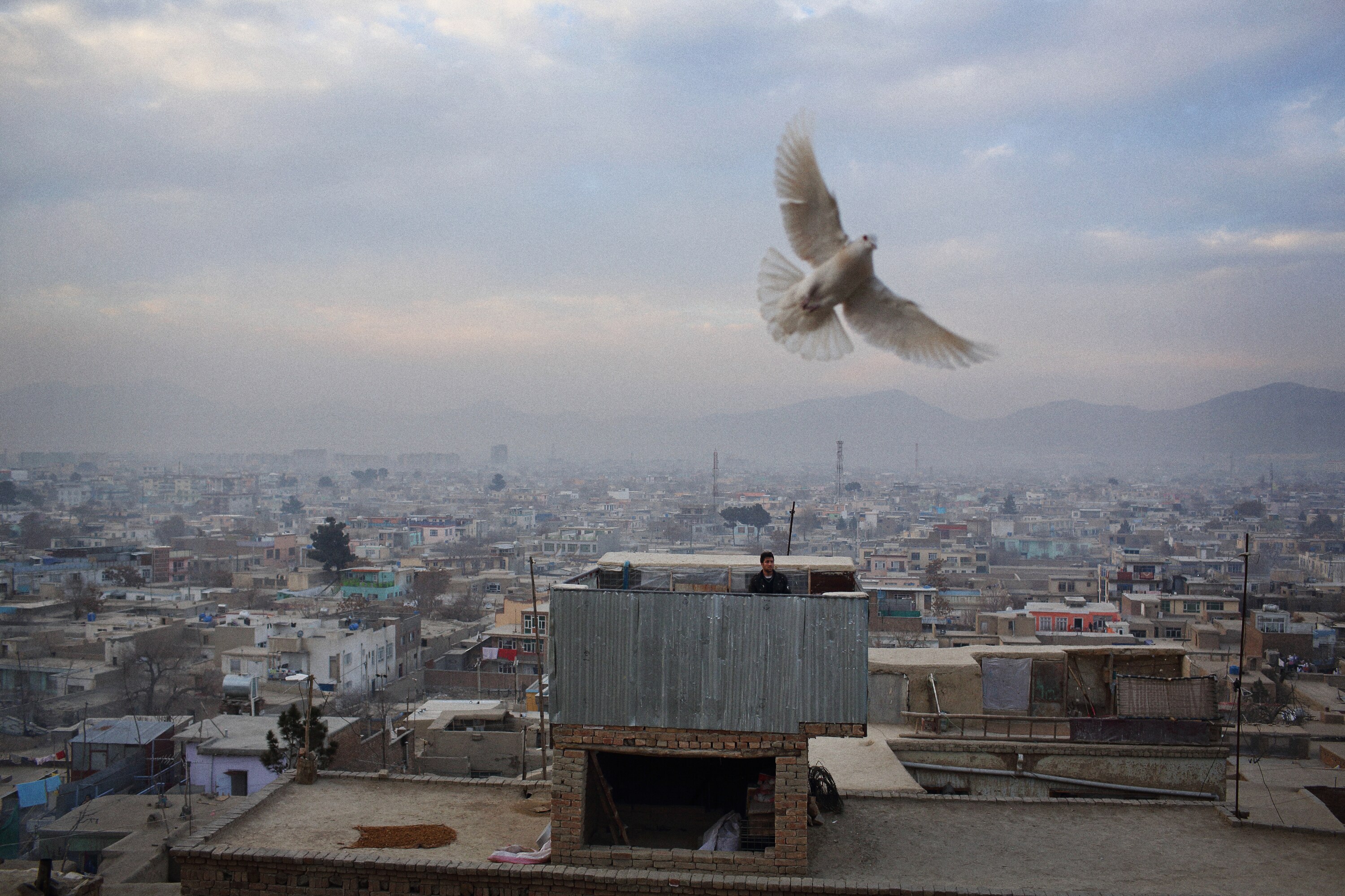 Photojournalist Andrew Quilty and activist Zahra Karimi want you to see ...