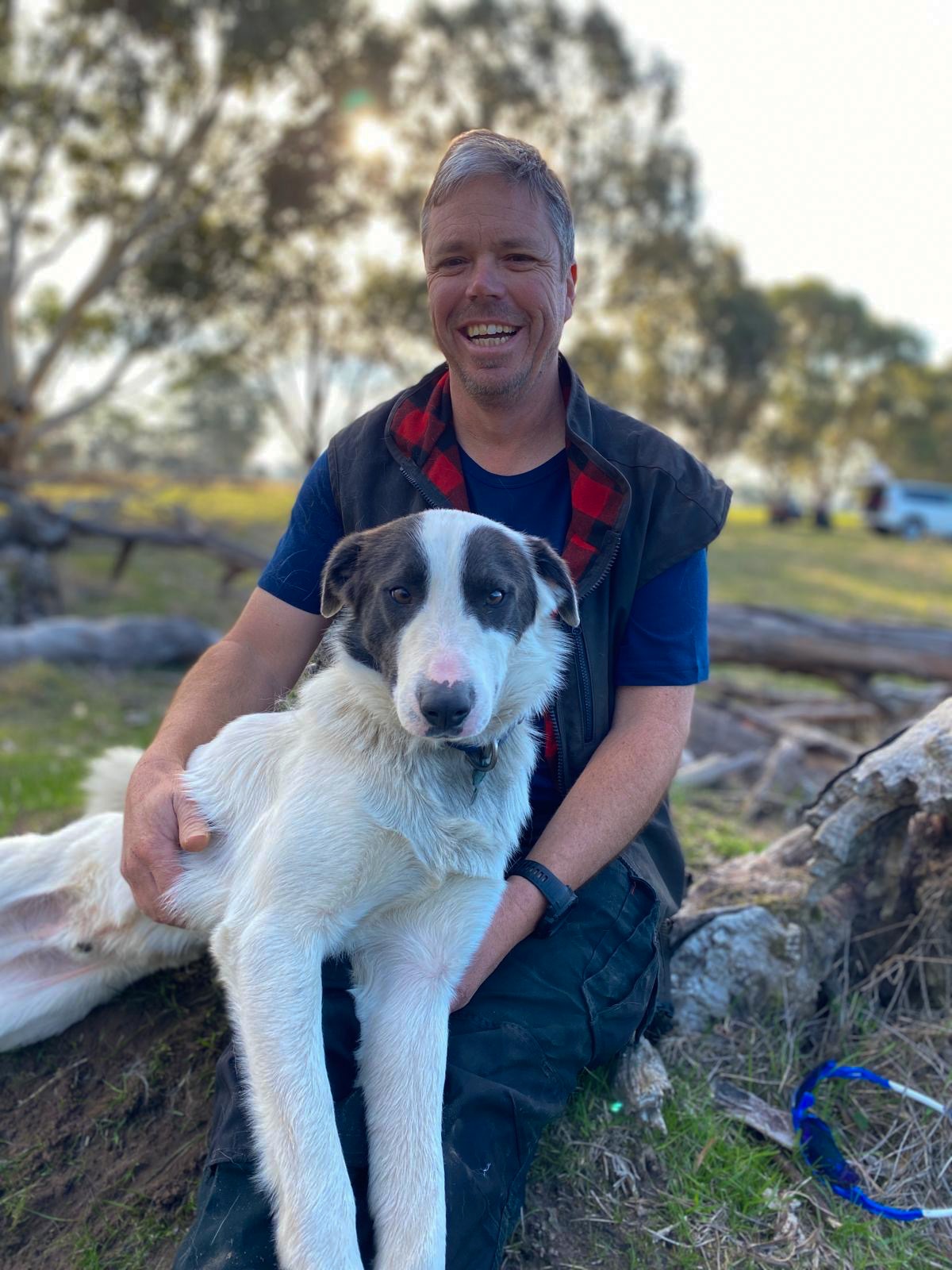 Muster Dogs stars catch us up on life since the series - ABC News